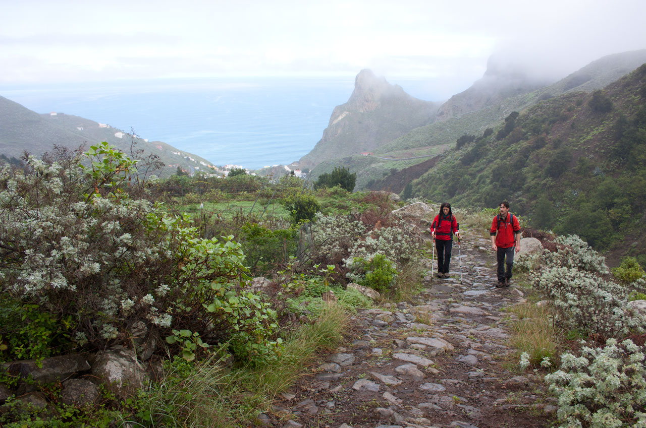 Wandelroutes Tenerife | Wandelen Spanje | oppad.nl