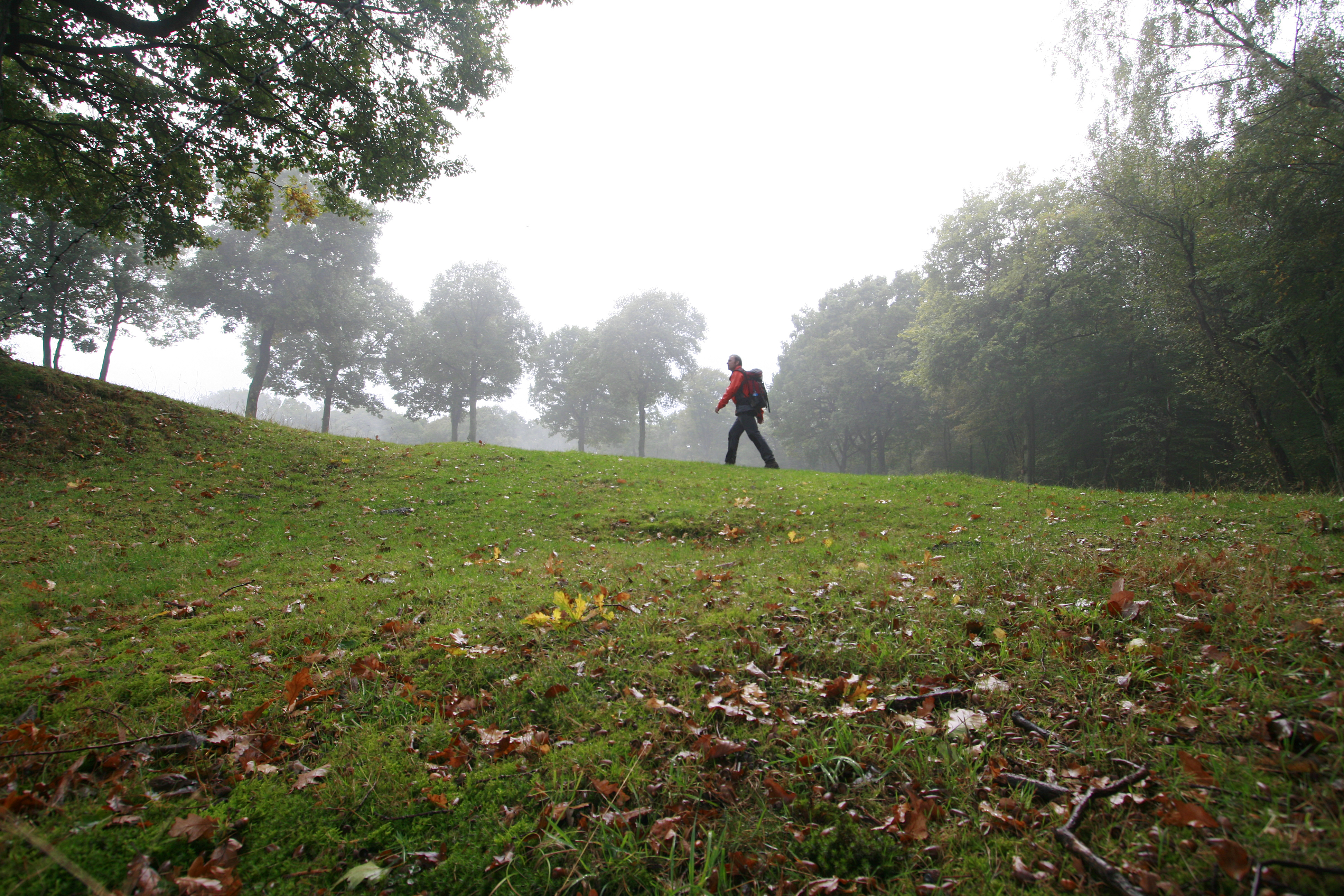 Wandelroutes in de Voerstreek | Wandelen België | oppad.nl