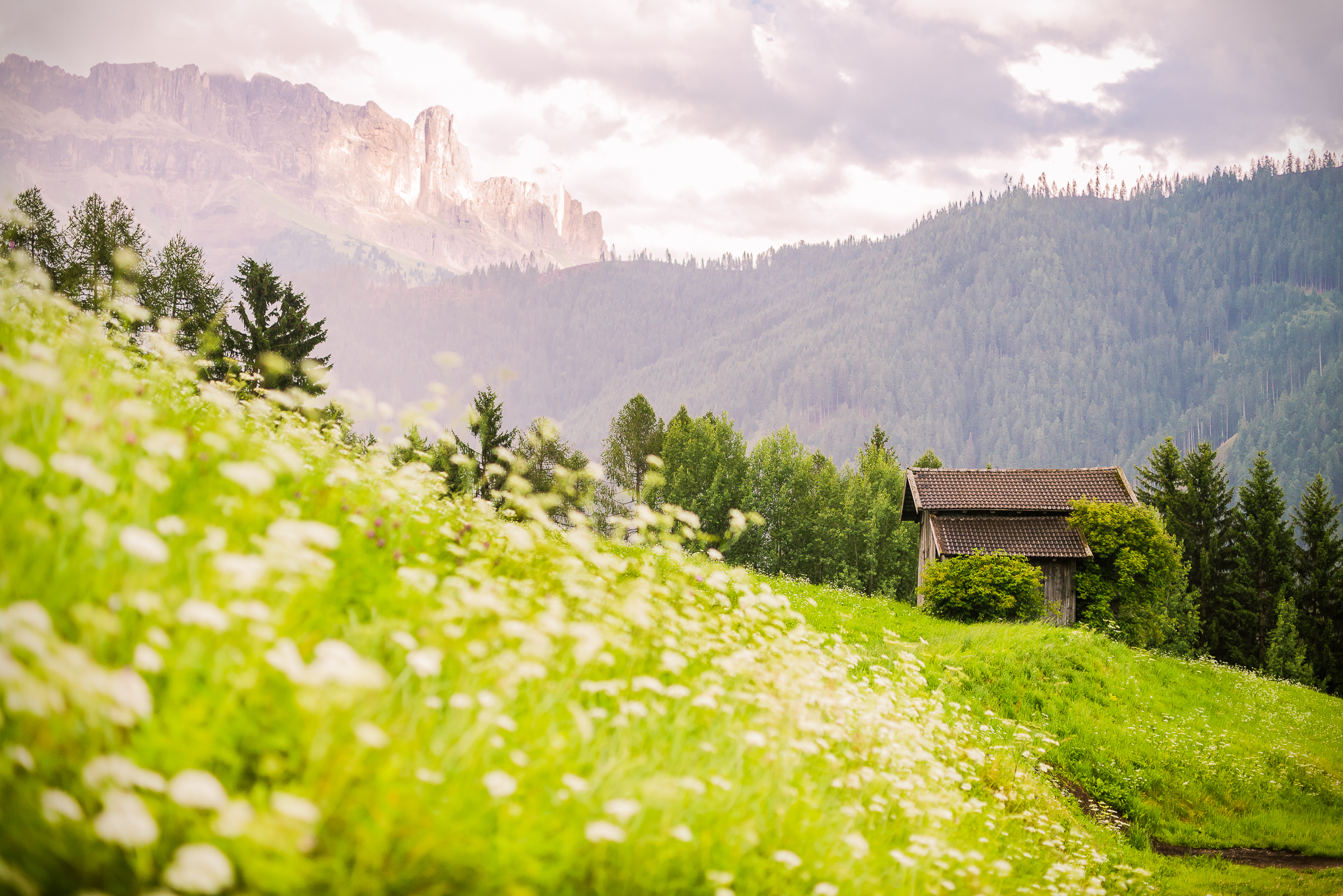 Algemene voorwaarden | Op Pad